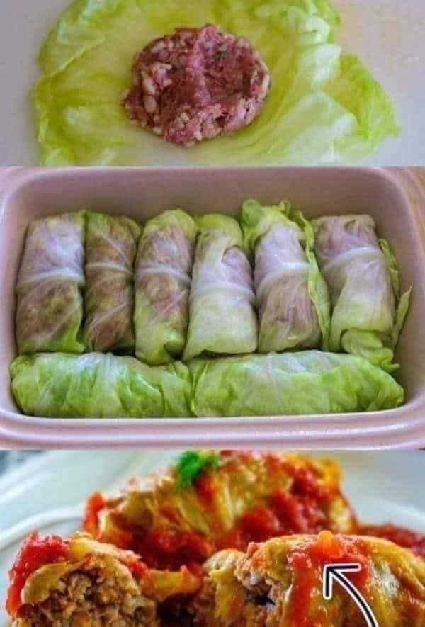 Stuffed Cabbages Rolls – Best Recipes