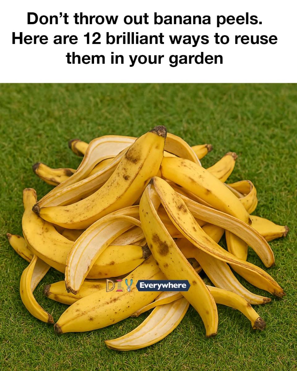 Don’t throw out banana peels. Here are 12 brilliant ways to reuse them in your garden – Best Recipes