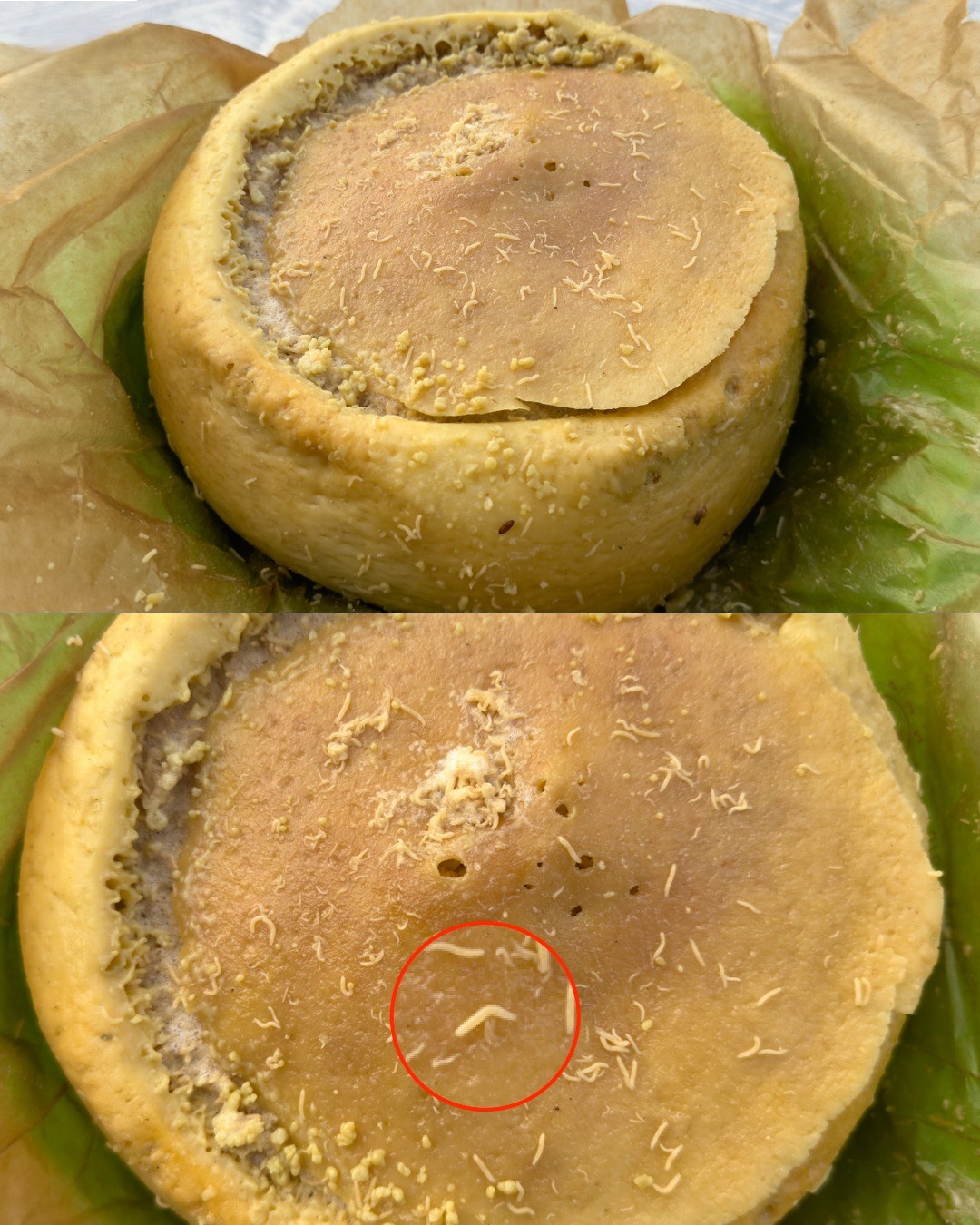 The Top 13 Most Dangerous Foods in the World – Best Recipes