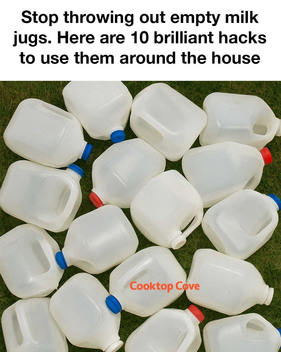 Stop throwing out empty milk jugs. Here are 10 brilliant hacks to use ...