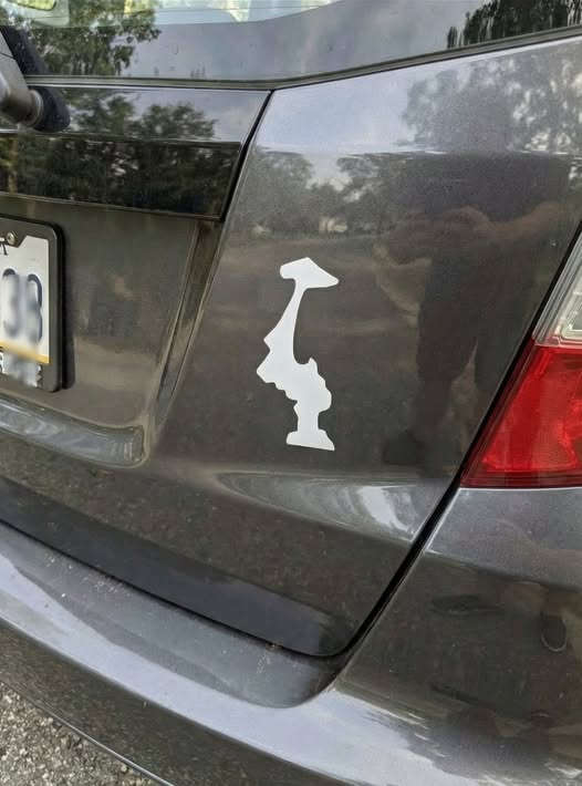 Why Drivers Display This Upside-Down Sticker on Their Cars – Best Recipes